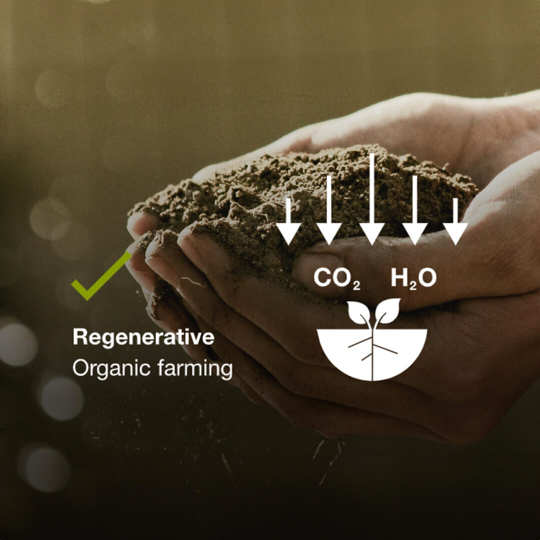 Regenerate nature – KnowledgeCotton Apparel Europe